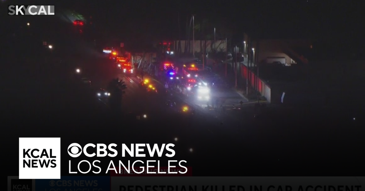 Pedestrian killed when car veers off road in Playa del Rey crash - CBS ...