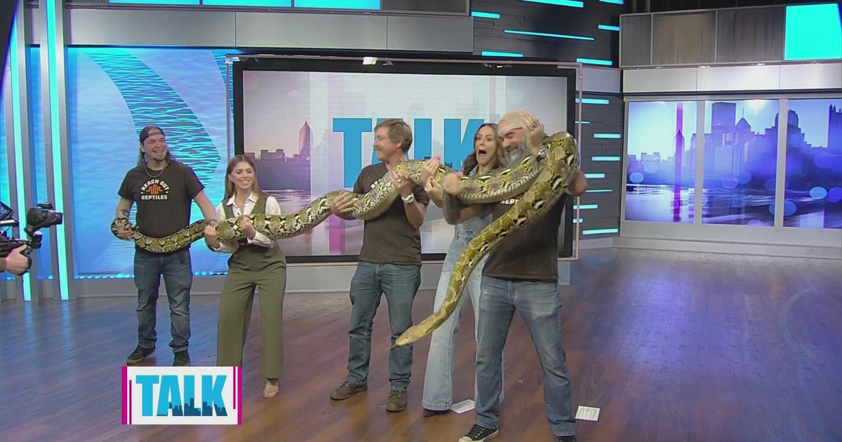 Several snakes from Reach Out Reptiles visit the Talk Pittsburgh ...