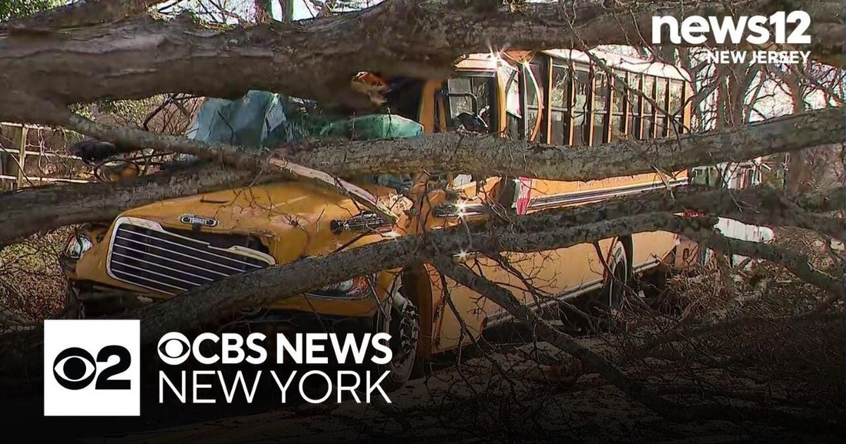 Tree falls on school bus with 10 students on board in Tewksbury, N.J ...