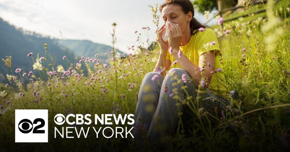 Optometrist's tips to ease spring allergy symptoms - CBS New York
