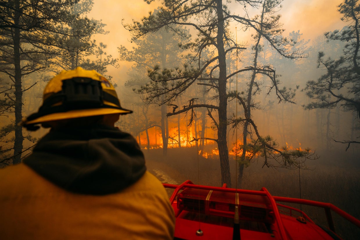 Wildfire in New Jersey's Wharton State Forest 100% contained after ...