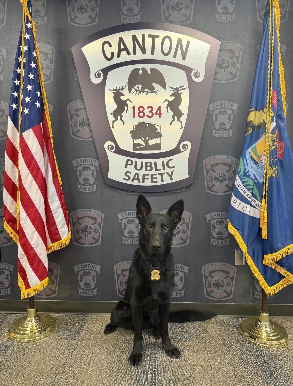 K-9 Merlin officially added to Canton Police Department roll - CBS Detroit