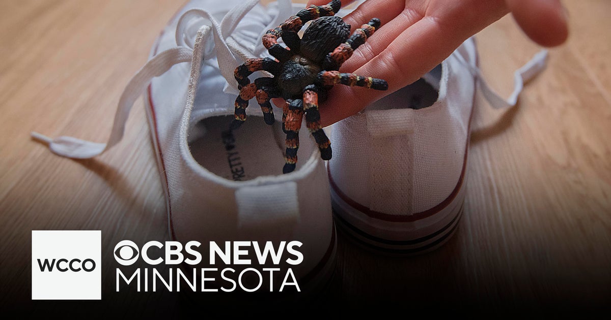 April Fools' Day is canceled this year - CBS Minnesota