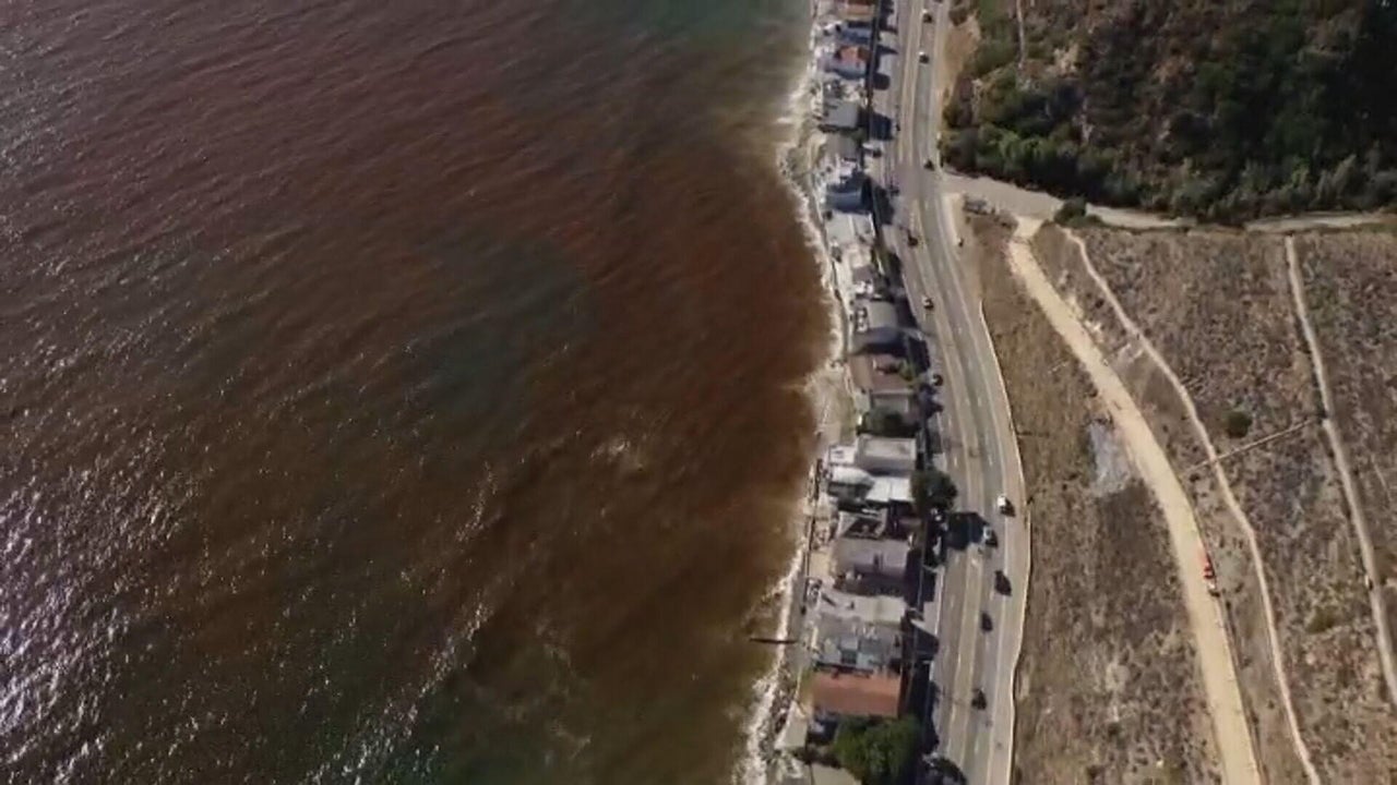 Carter Evans - CBS News