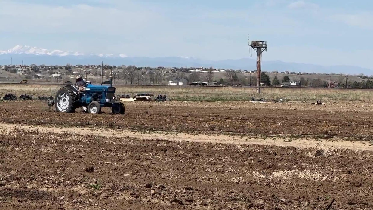 Small farmers in Colorado impacted by federal budget cuts seek ...