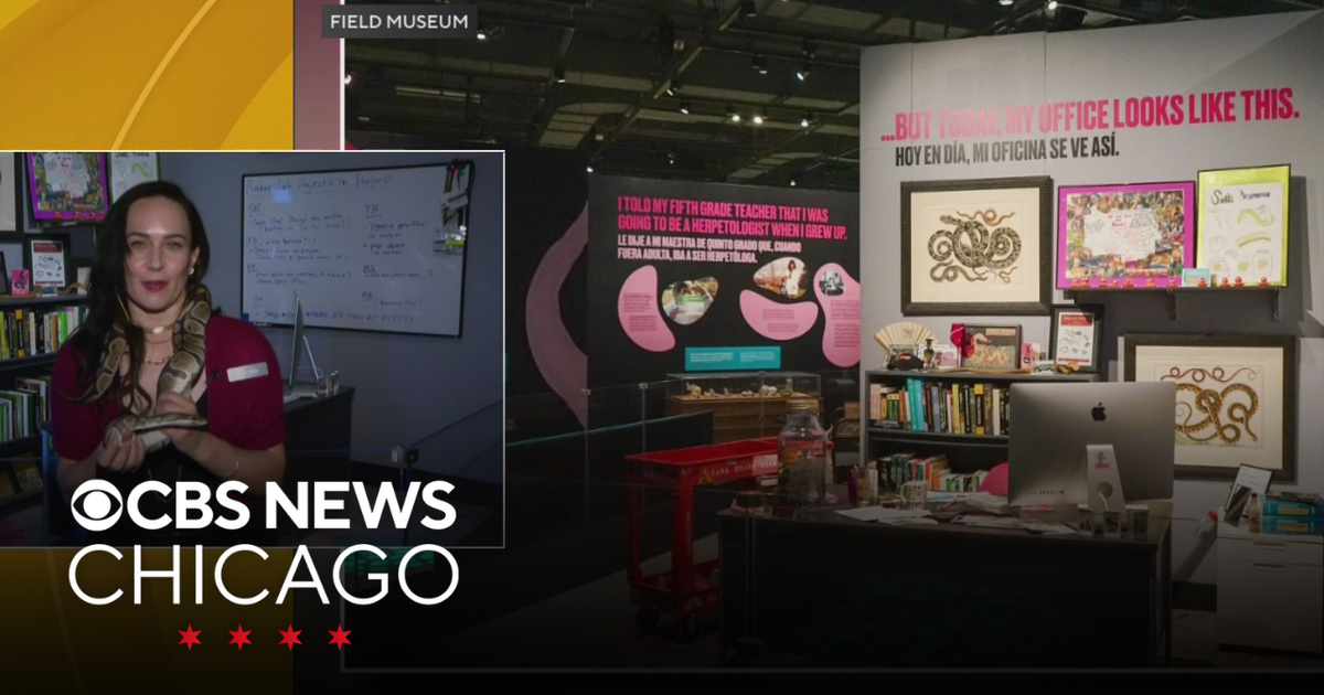 Changing Face of Science exhibit on display at Field Museum - CBS Chicago
