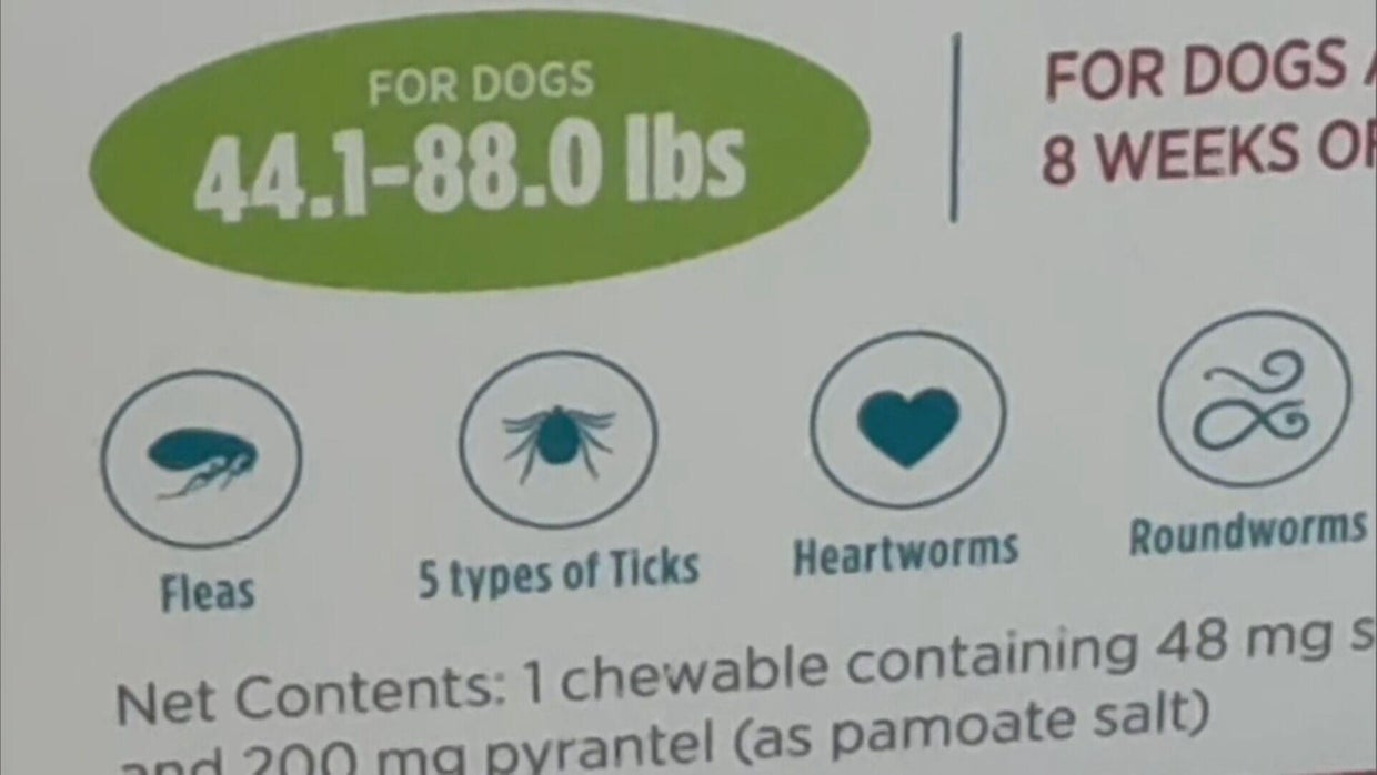 Coloradans prepare for tick season as weather warms, doctors ...