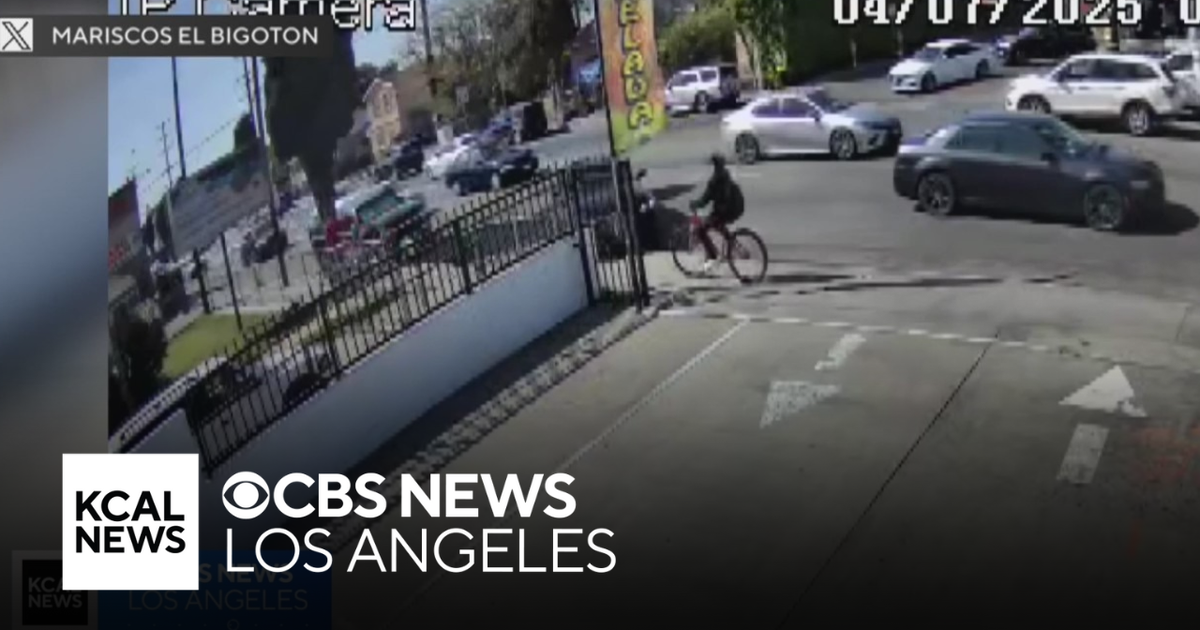 Search continues for hit-and-run driver who jumped curb and hit teen riding bike in South LA ...