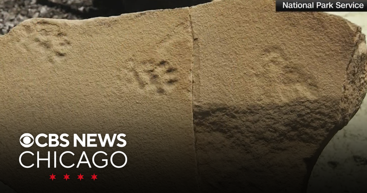 Archaeologists uncovered fossilized footprints of animal behavior 50 ...