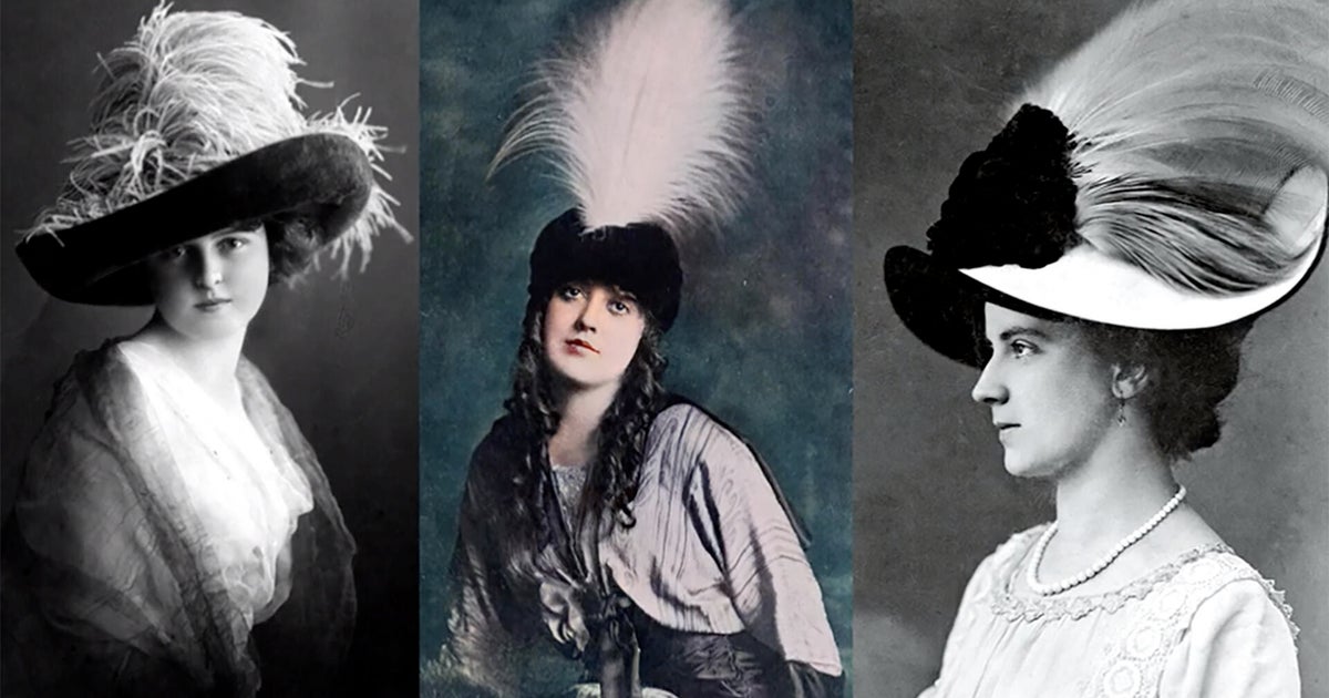 How hat fashions ruffled feathers, spurring a conservation movement ...