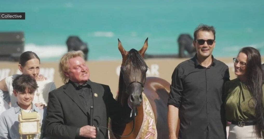 Global Champions Arabians Tour debuts on Miami Beach - CBS Miami