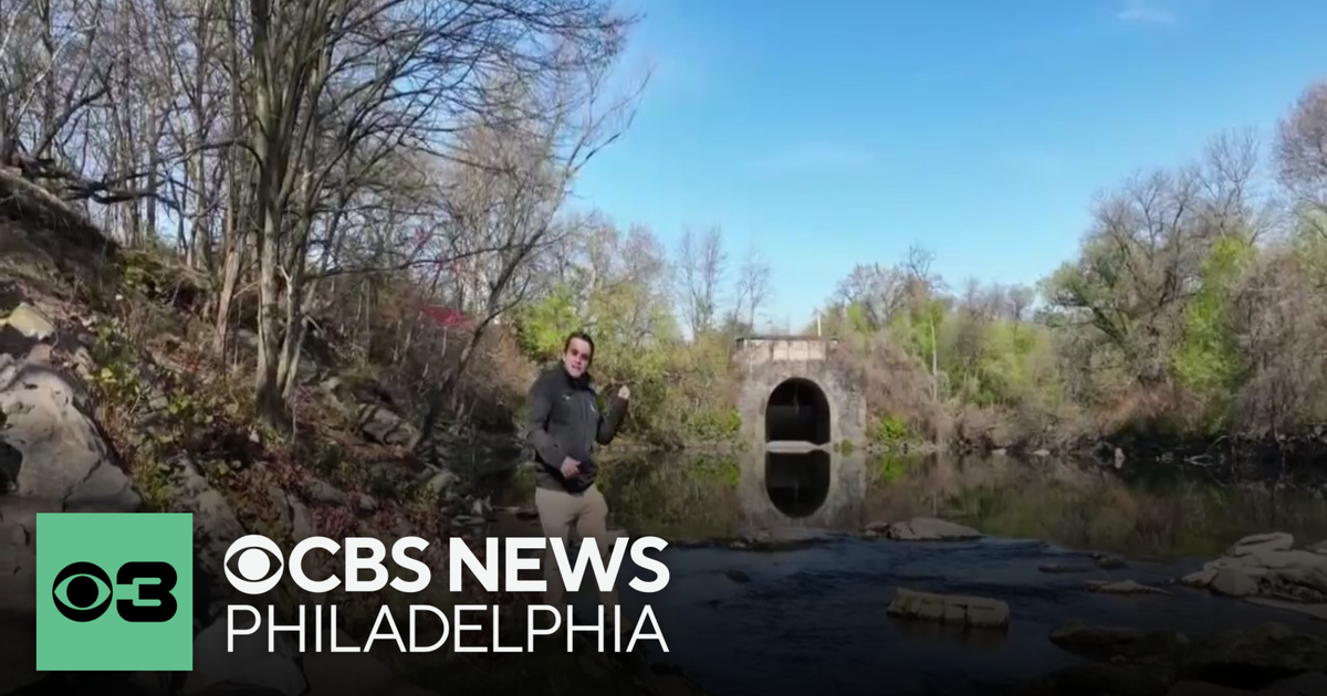 Nearly 14 billion gallons of sewage, polluted water spilled into Philly ...