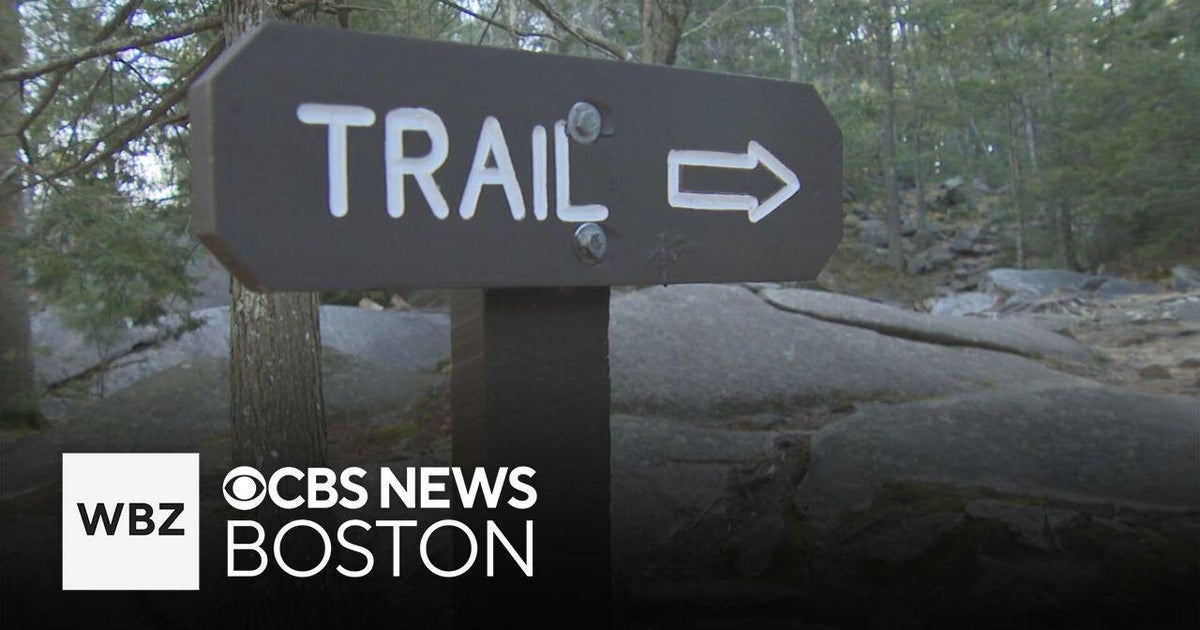 Mother hiking with children falls to her death at Purgatory Chasm in ...