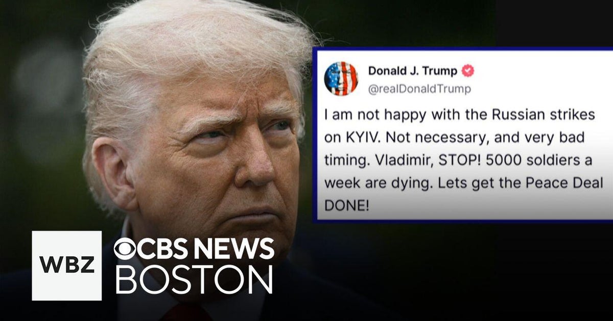 President Trump asks Vladimir Putin to stop launching strikes on ...