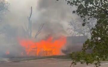 Goats and chickens die in chicken coop fire in Colorado - CBS Colorado
