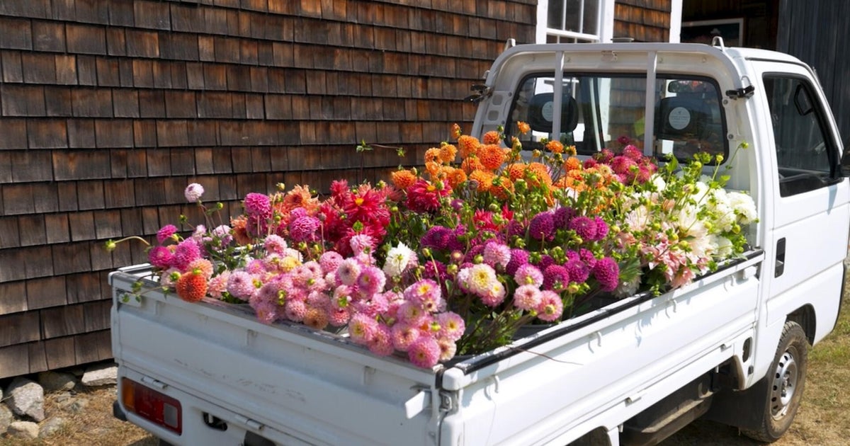Visiting one of the largest and most eclectic flower farms in New ...