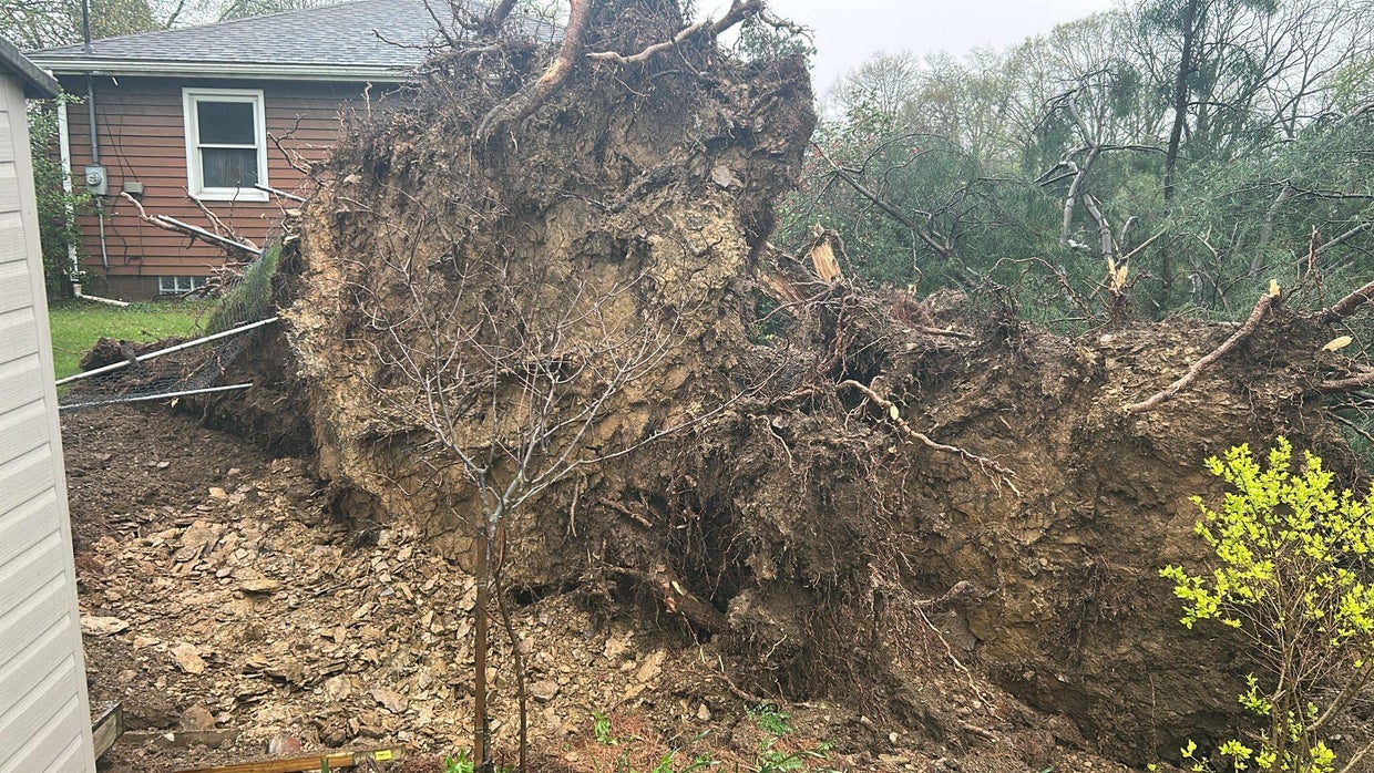 Photos show damaged buildings, downed trees after intense winds sweep through Pittsburgh area
