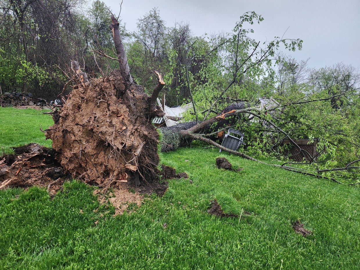 Photos show damaged buildings, downed trees after intense winds sweep ...