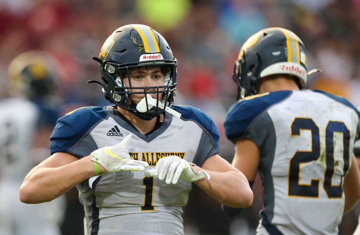 Family of Pirates fan who fell from stands at PNC Park says he's awake ...