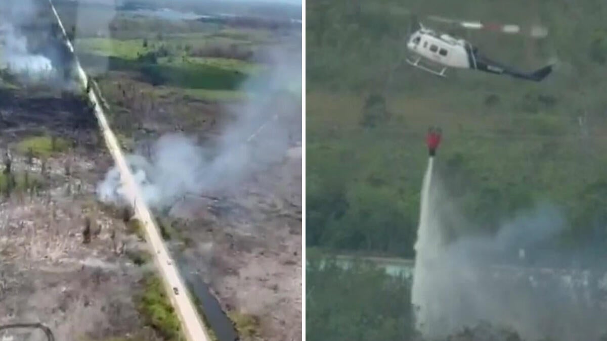 Brush Fire news - Today’s latest updates - CBS Miami