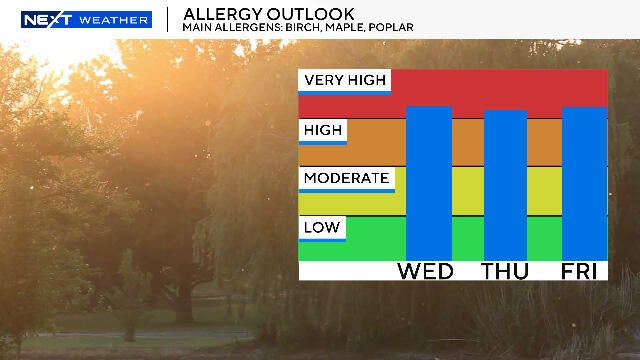 Pollen count reaches very high levels in Boston. Here's how long the ...