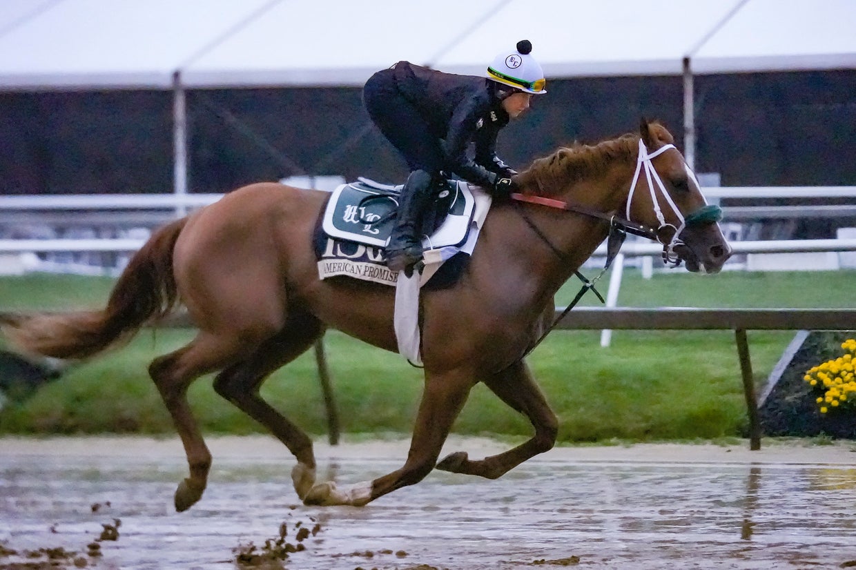 Meet the Preakness Stakes horses that ran in the 2025 race - CBS News