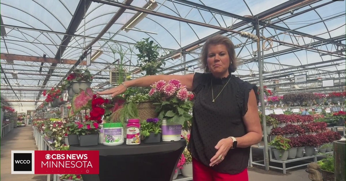 Is there a better spring pastime than planting colorful flowers and ...