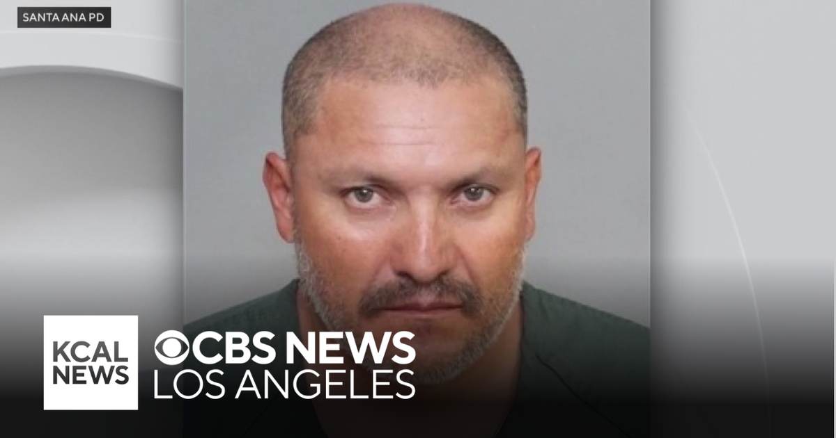 Alleged serial cat killer skips court date in Santa Ana, warrant issued ...