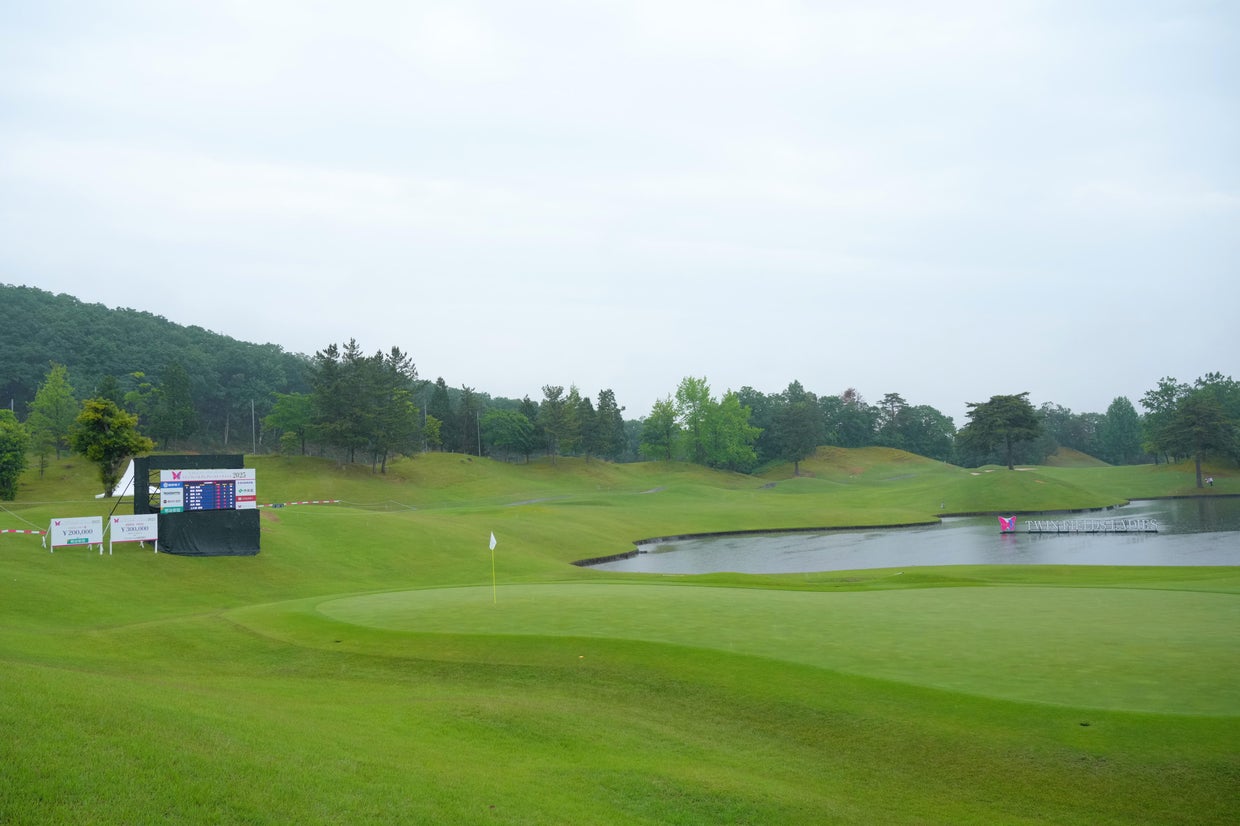 Bear roaming golf course halts play at tournament for second time in 2 ...
