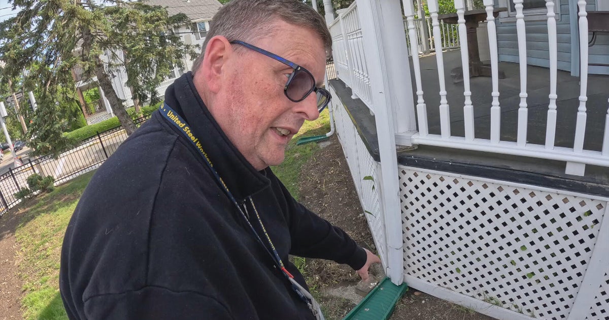 Allston "Rat City" residents search for solutions to rodent problem ...