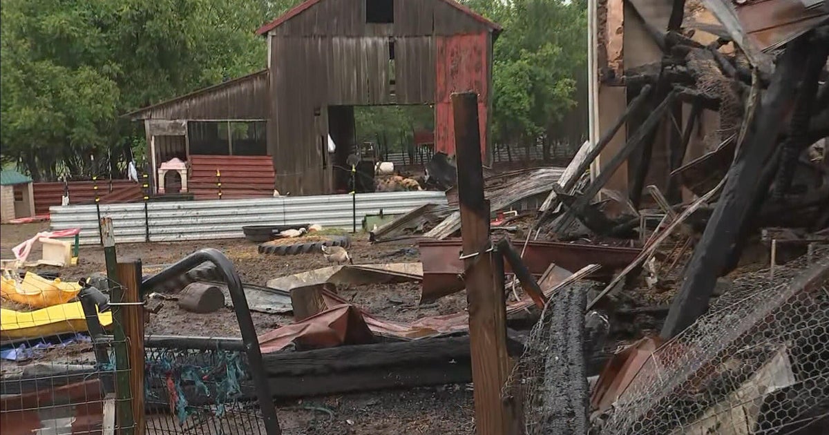 Philadelphia-area community comes together to help Wiggle Goats, animal ...