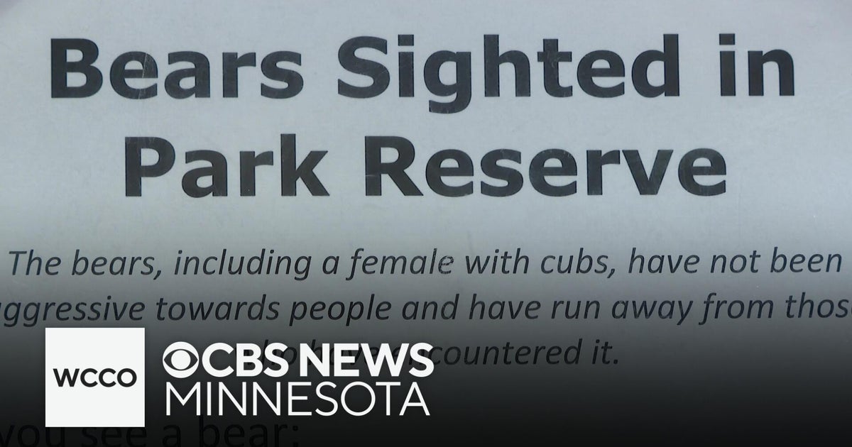 Minnesota Department of Natural Resources offers tips as more bears are ...