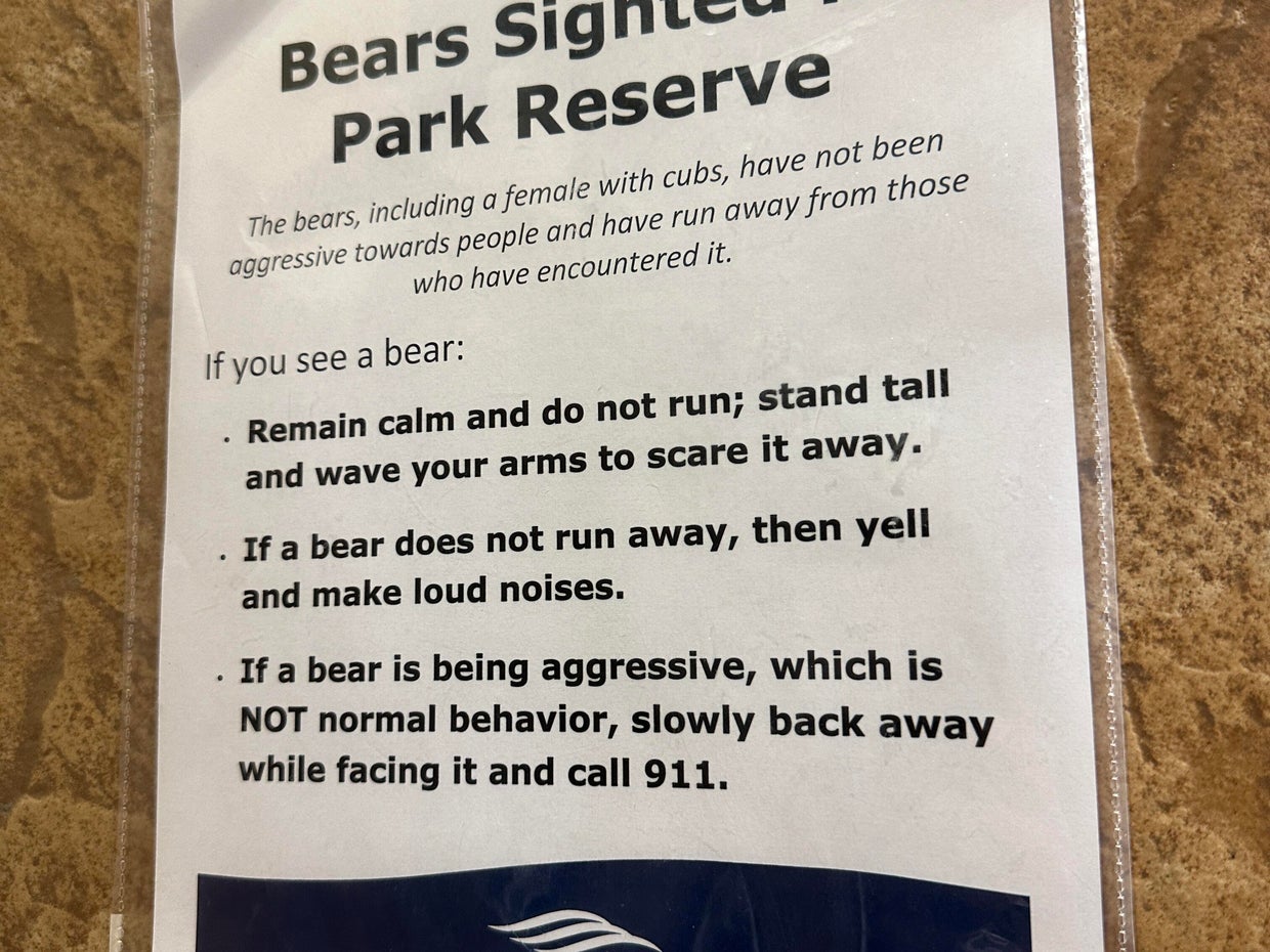 Black bear sightings on the rise in Twin Cities suburbs, DNR says - CBS ...