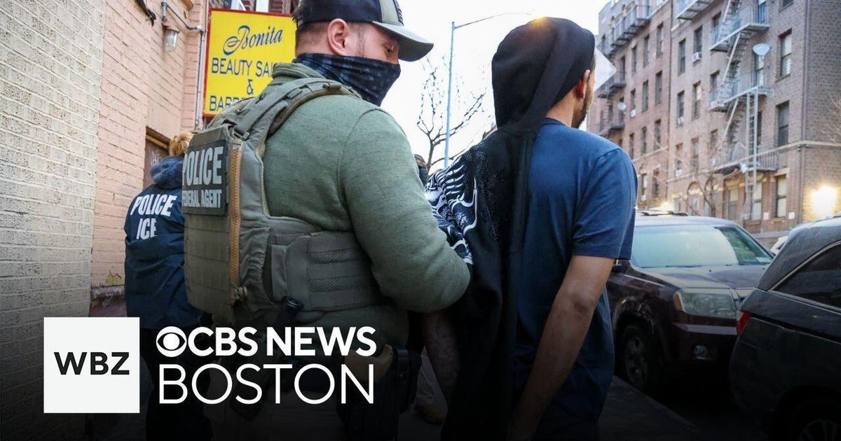 ICE director explains why agents wear masks during immigration raids ...