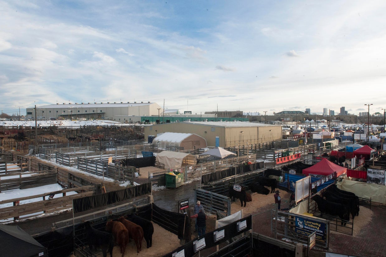 Denver City Council backs $800M equestrian center project at National ...