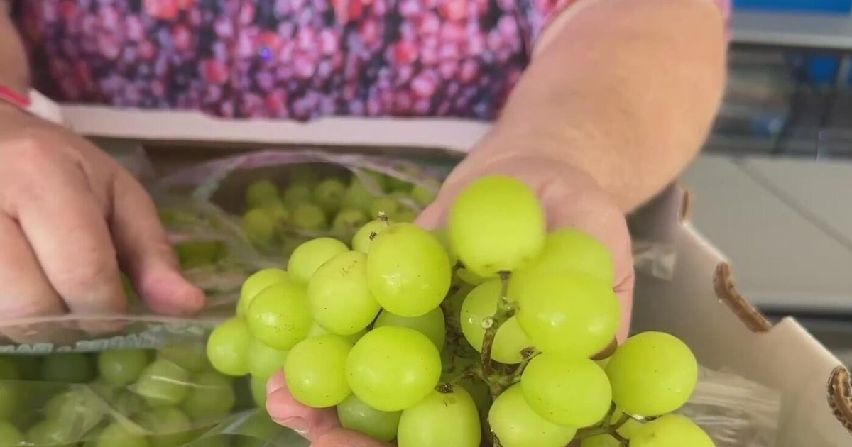 Produce deals of the week | Your Produce Man - CBS Sacramento