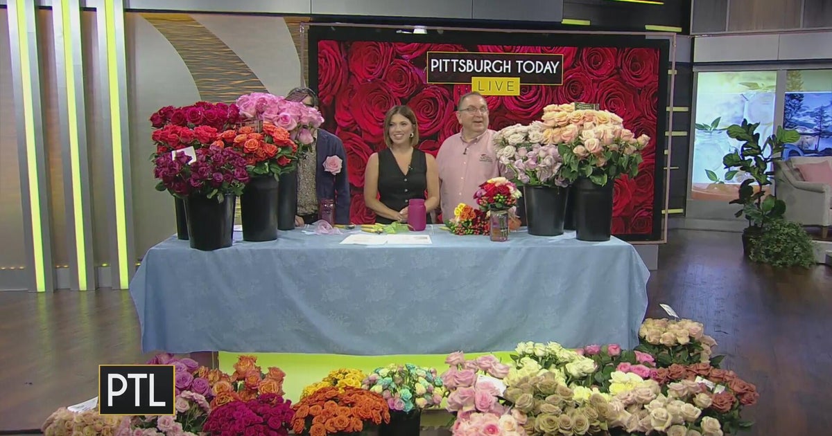 In our floral era for National Rose Month - CBS Pittsburgh