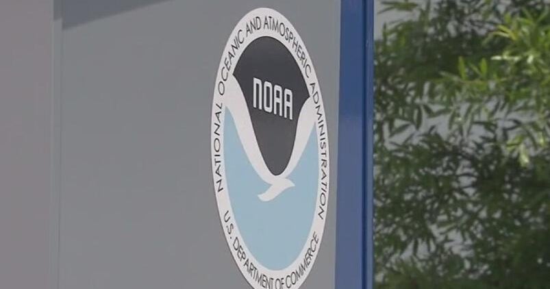 FEMA, NOAA job cuts spark protest at Museum Park - CBS Miami