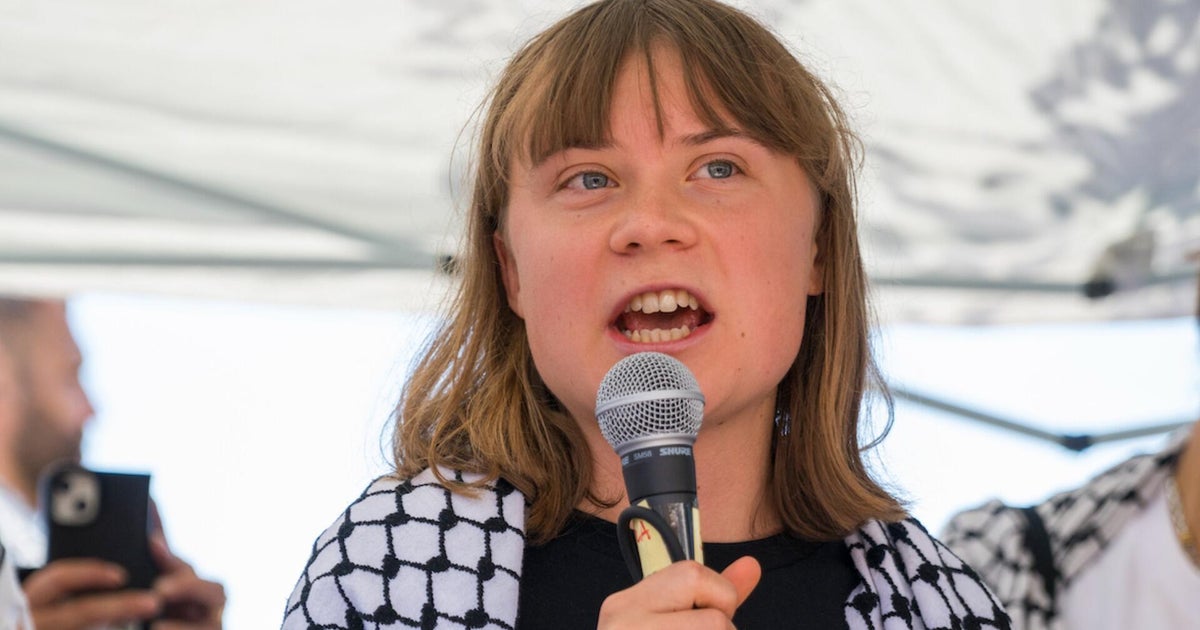 Israel stops Gaza aid ship, detains Greta Thunberg and other activists ...