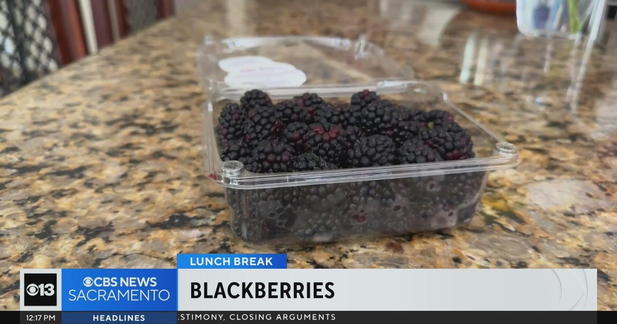 Blackberries | Lunch Break with Michael Marks - CBS Sacramento
