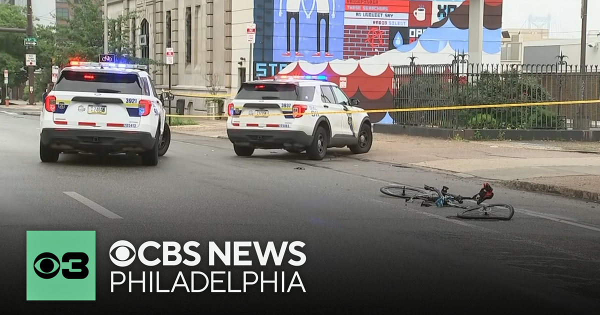 Biker hurt after collision with police car, animals killed in ...