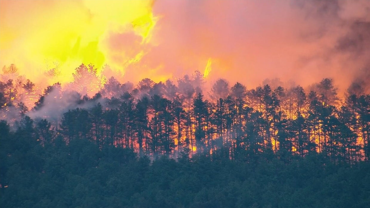Wildfire in New Jersey's Wharton State Forest 90% contained after ...