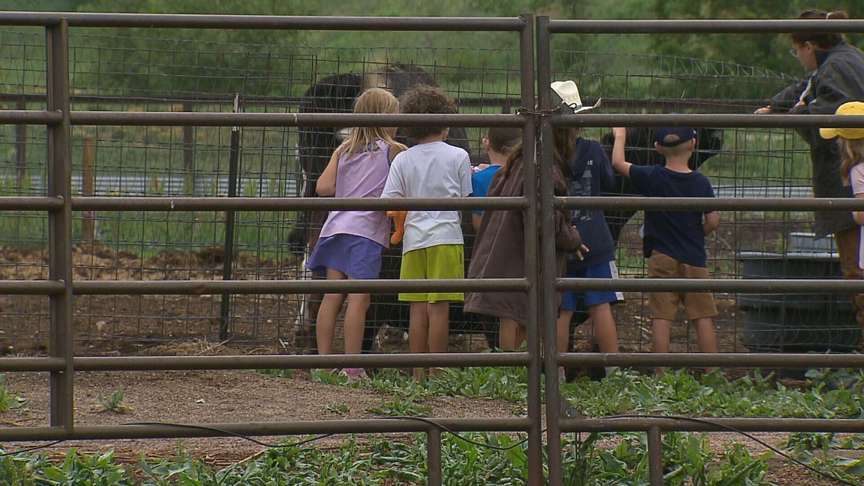 The Urban Farm celebrates 30 years in Denver but concerns mount over ...