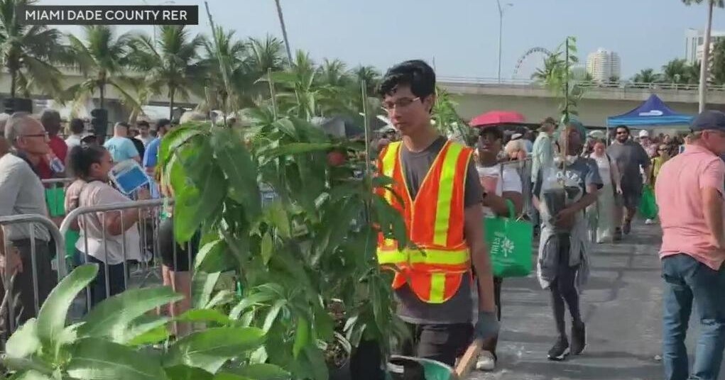 Miami-Dade celebrates Adopt-A-Tree program - CBS Miami