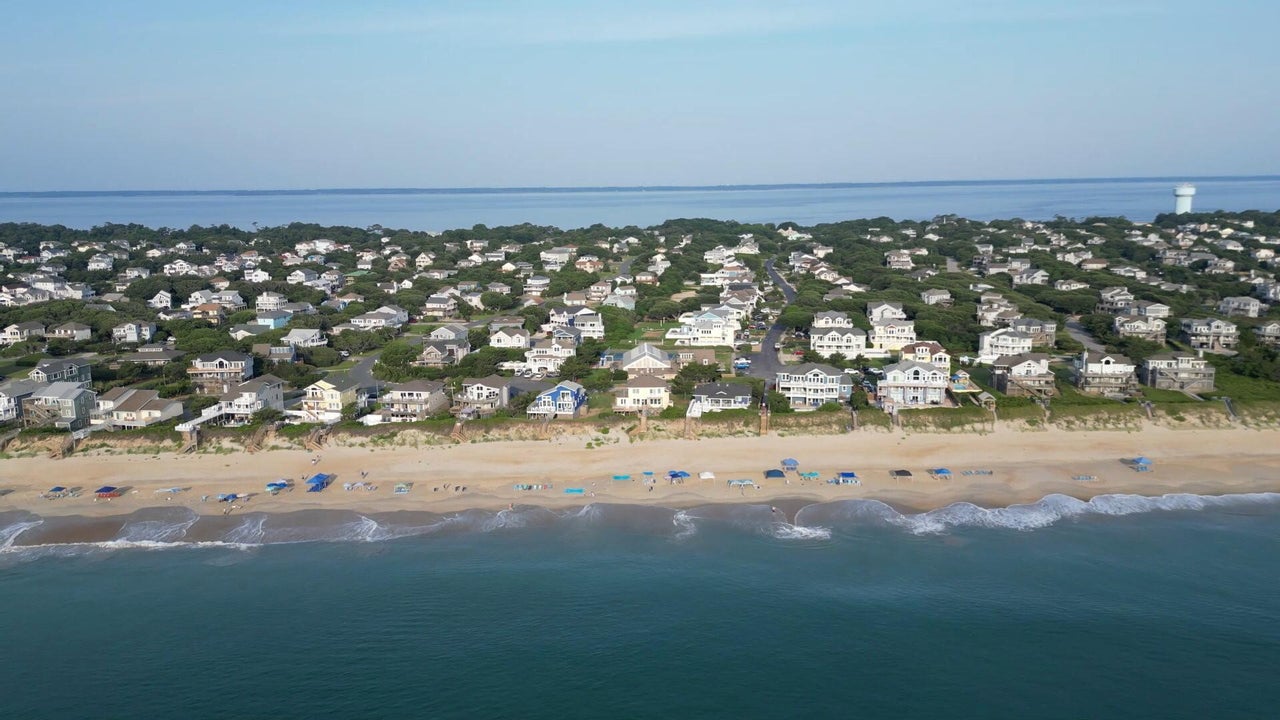 The Dog Days of Summer | Hey Ray