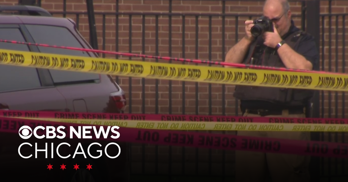 Driver in custody police say she hit, killed woman on Chicago's Near ...