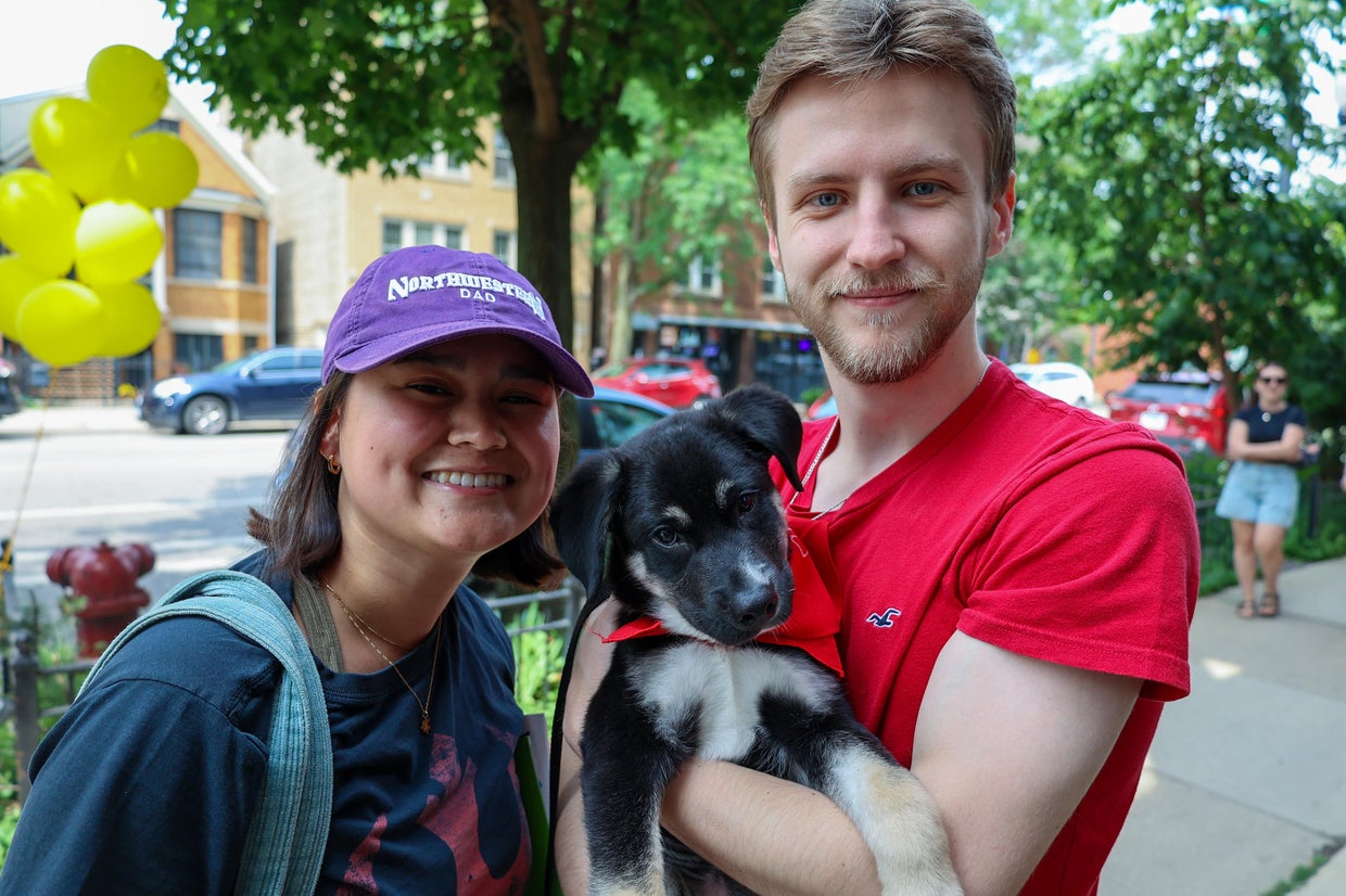 PAWS Chicago hosts adoption event for 50 pets in need of new homes - CBS Chicago