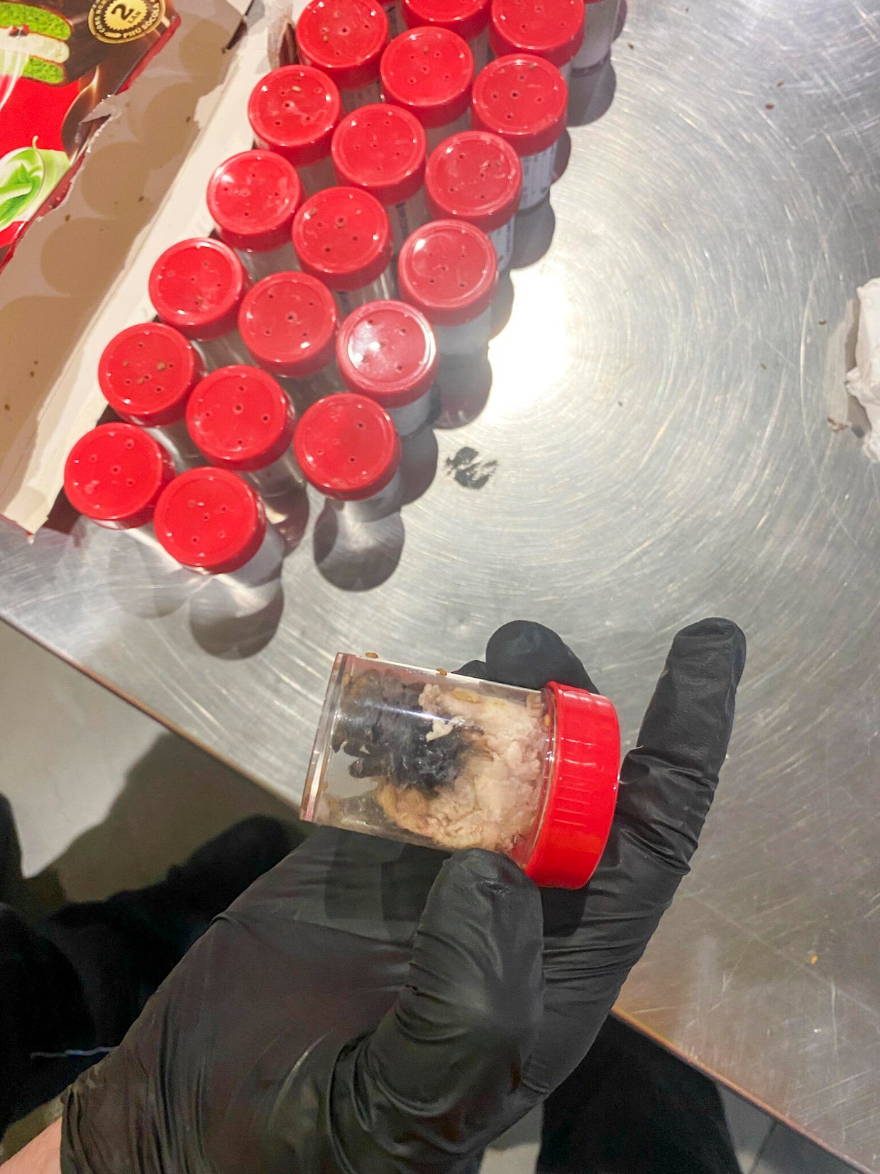 1,500 tarantulas found stuffed in sponge cake boxes at German airport ...