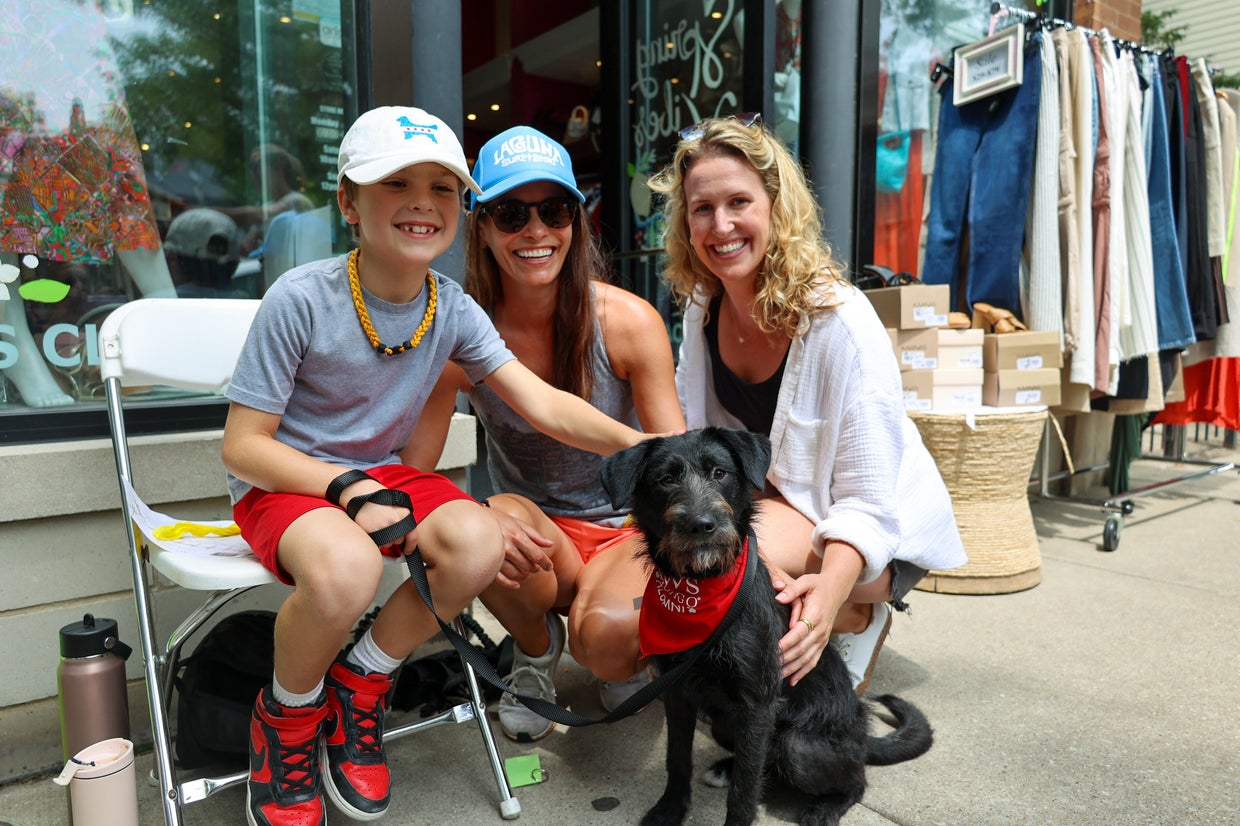 PAWS Chicago hosts adoption event for 50 pets in need of new homes - CBS Chicago