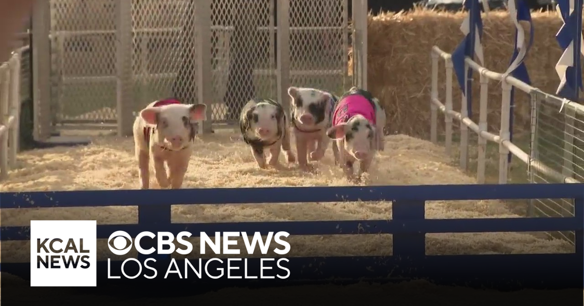 Orange County Fair opens in Costa Mesa - CBS Los Angeles